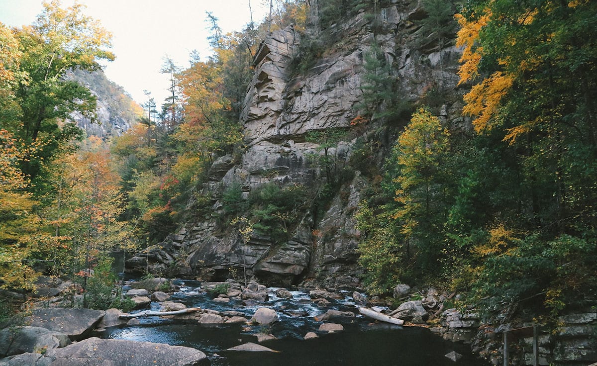 Tallulah Gorge State Park: One of the Great North Georgia Wonders