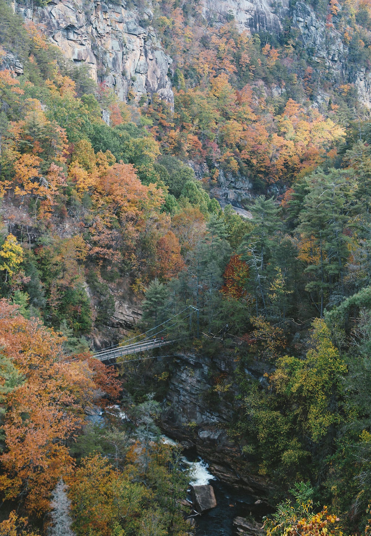 Tallulah Gorge State Park: One of the Great North Georgia Wonders